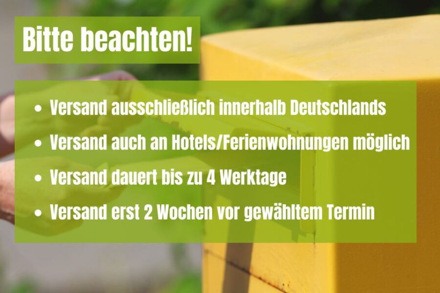 Scavenger Hunt Through Berlins Government District | Power Traveller