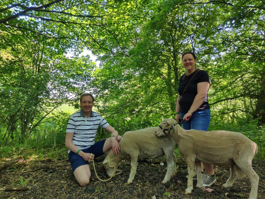 Shropshire Sheep Trekking | Power Traveller