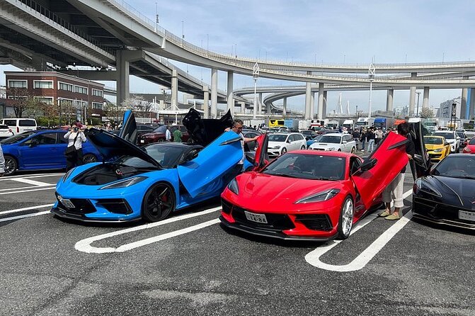 Tokyo & Daikoku PA. Custom Car & Lead Car Tour | Power Traveller