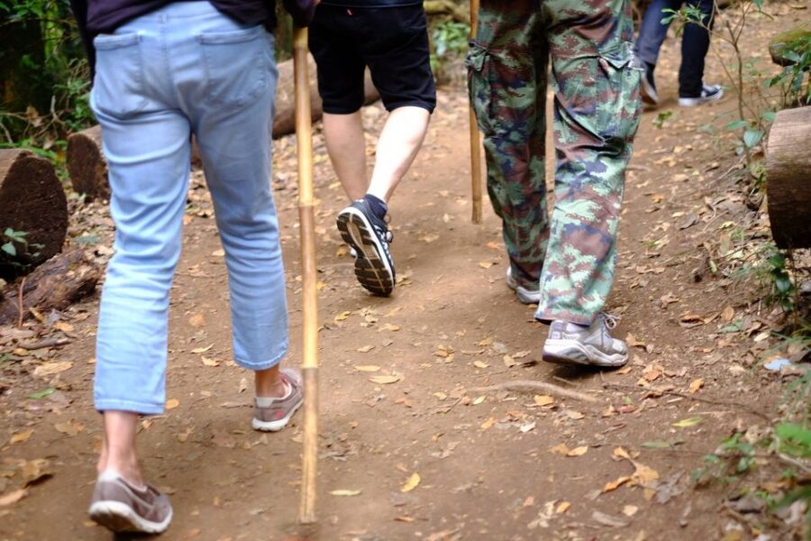 Tour With Hike in Kiew Mae Pan Natural Trail From Chiang Mai | Power ...