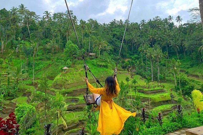 Ubud DayTrip : Monkey Forest - Rice Terrace - Jungle Swing - Water ...