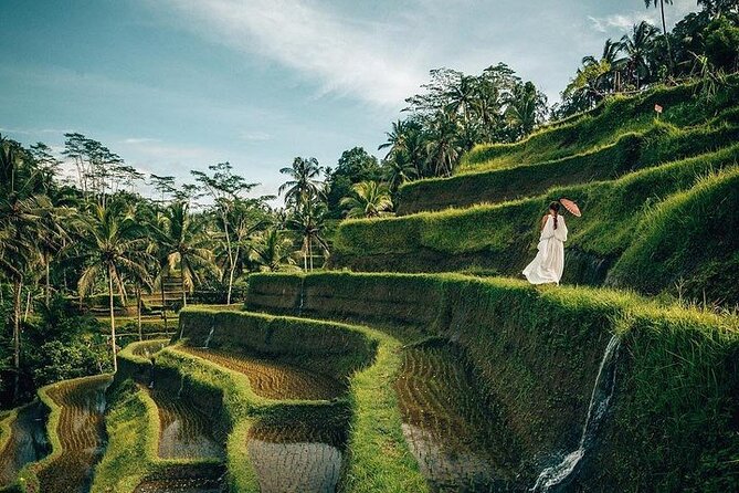 Ubud: Swing - Monkey Forest - Waterfall - Temple - Rice Terraces - Art ...