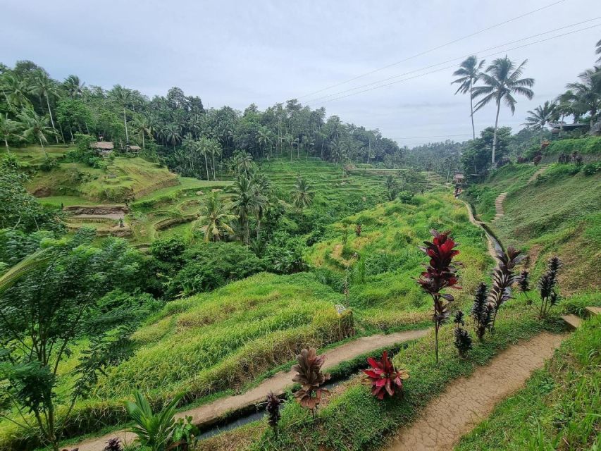 Ubud Tour : Ubud Higlight Culture,Tradition and Nature | Power Traveller