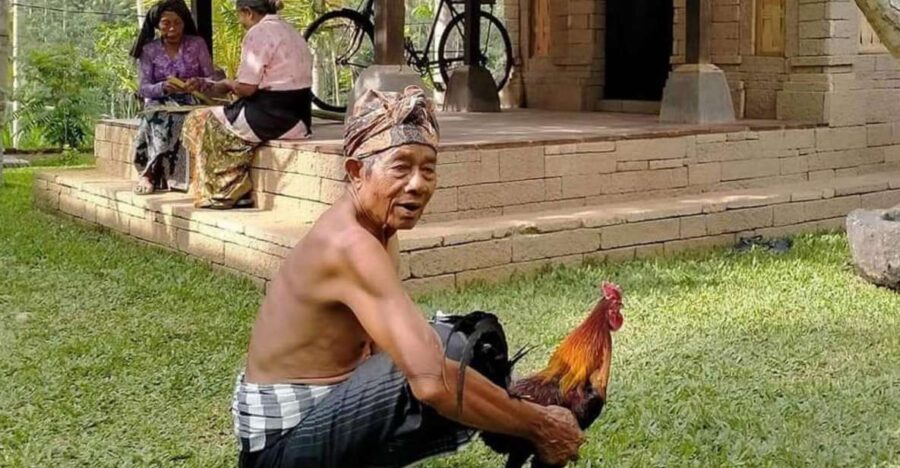 Ubud : Visit Waterfall, Umah Bali Kuno & Tirta Empul Temple | Power ...