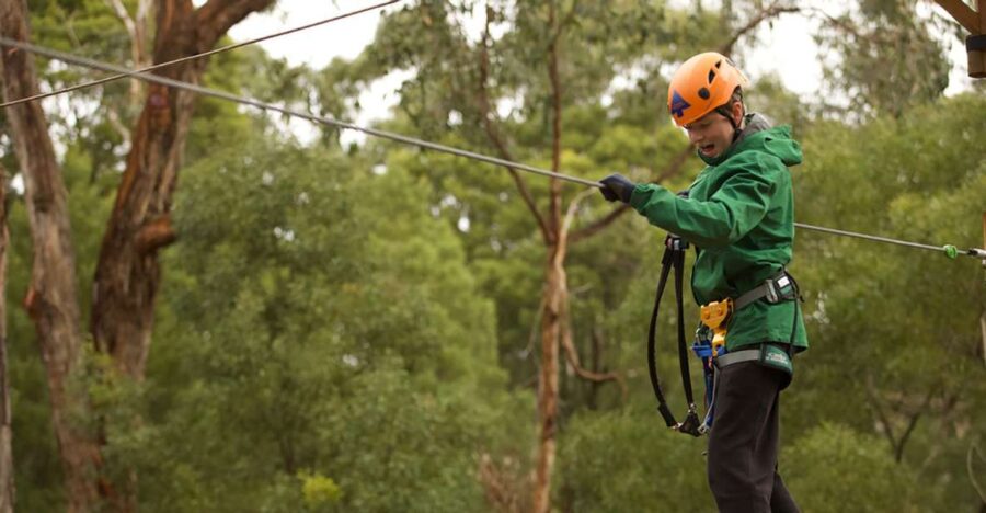 Yeodene: Tree Ropes Courses | Power Traveller