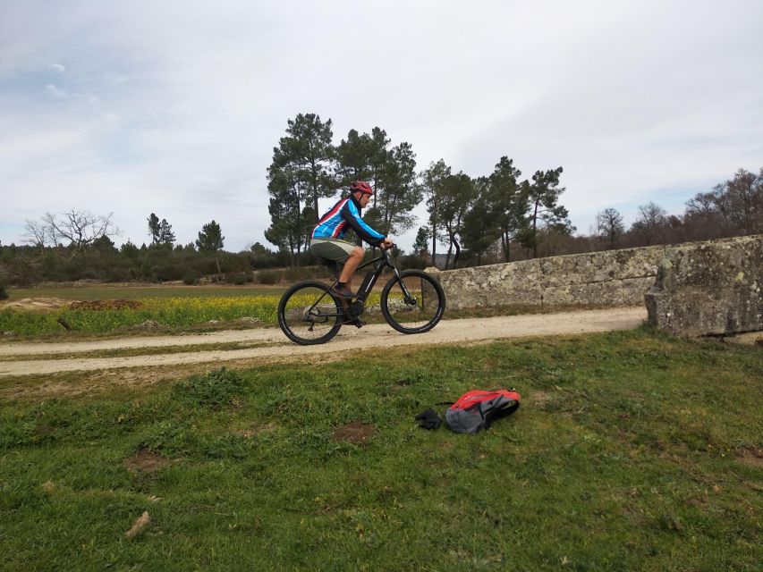 Almond Tree Route | Power Traveller