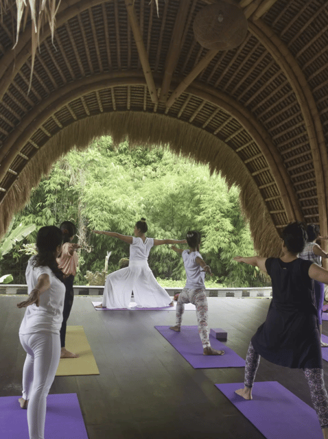 Bali: Ubud Private Yoga and Healing Meditation | Power Traveller