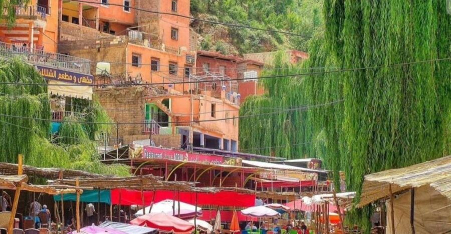 Day Trip To Ourika Valley & Atlas Mountains