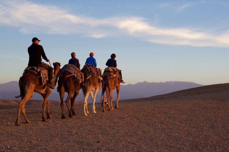 Desert Delights: Dinner & Show Spectacular in Agafay Desert | Power ...