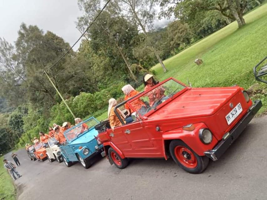 Experience In Ubud: VW Tour, Bali Swing, And Infinity Pool