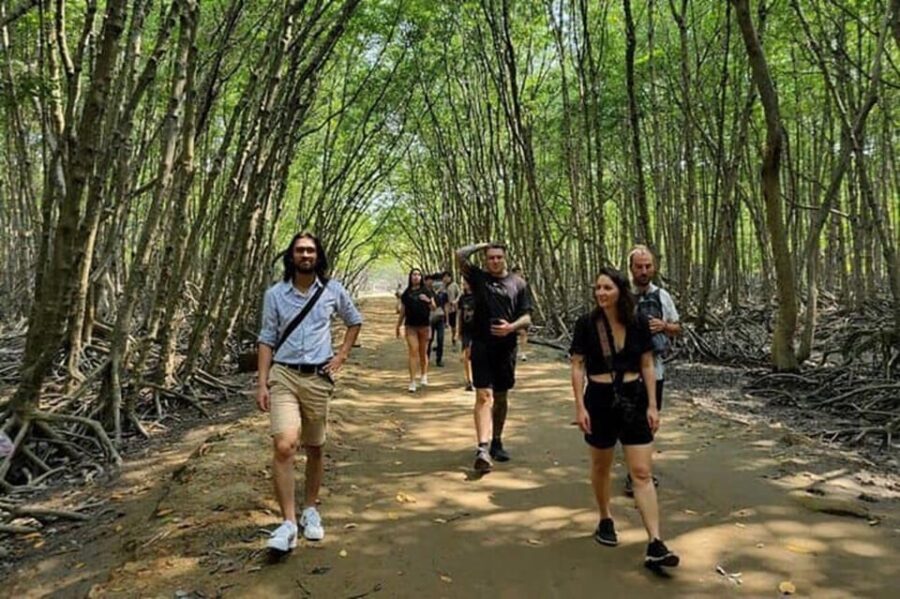 From Ho Chi Minh: Can Gio Mangrove Group or Private Tour | Power Traveller