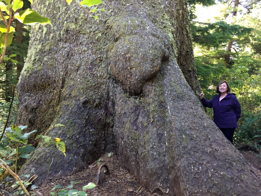 From Portland: Oregon Coast Day Trip to Three Capes Loop | Power Traveller