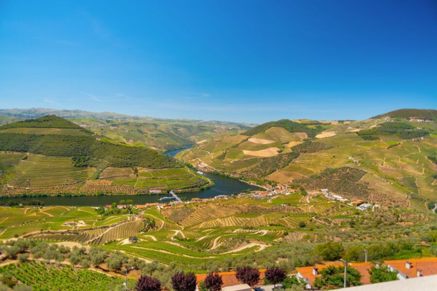 Full-Day Douro Wine Tour With Lunch and River Cruise | Power Traveller