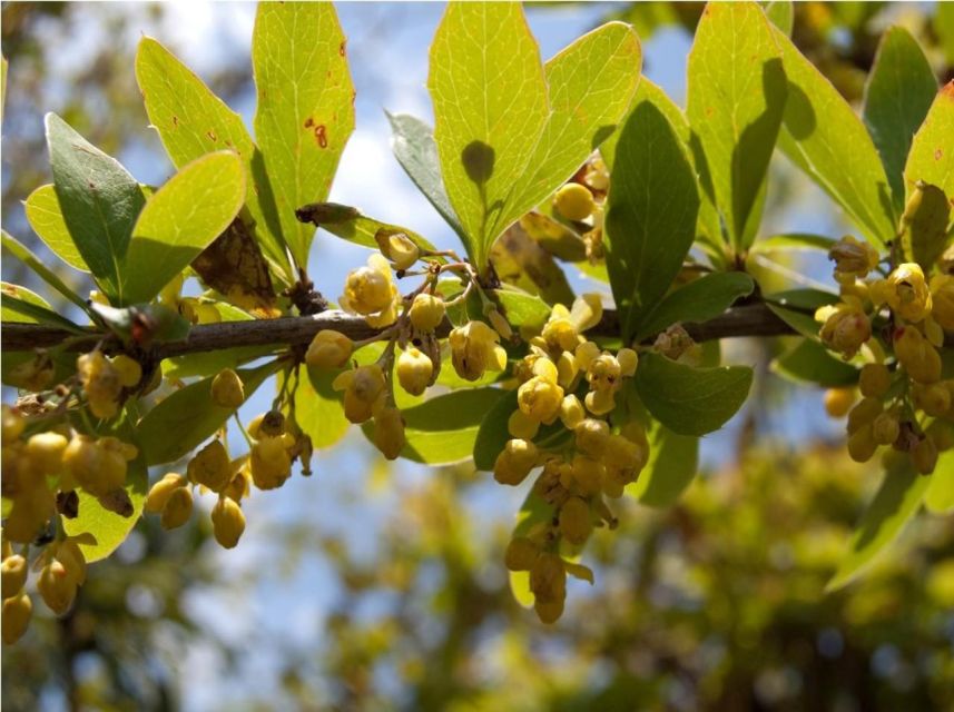 Hike to Champadevi | Power Traveller