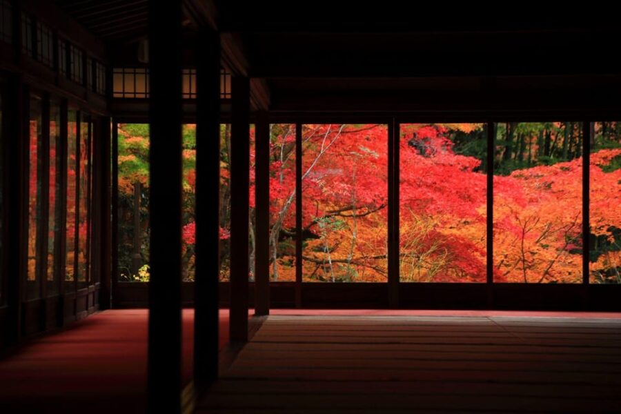 Kyoto Top Highlights Full-Day Trip From Osaka | Power Traveller