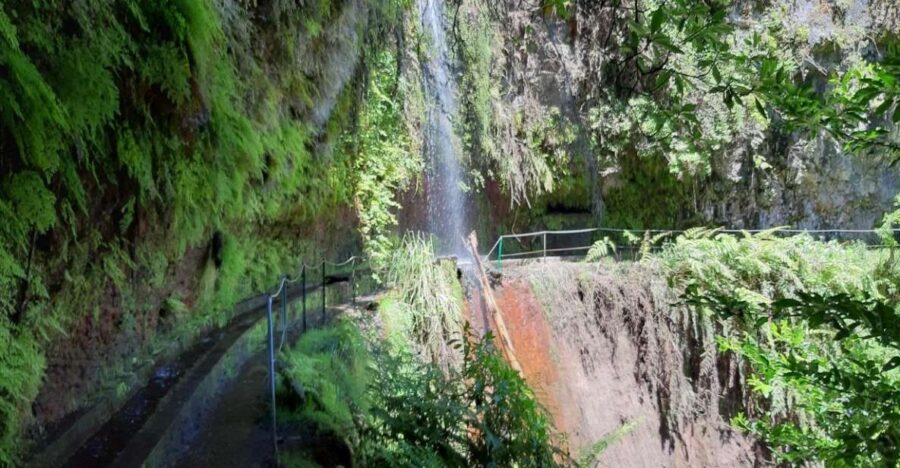 Madeira: Private Guided Levada Do Rei Walk PR18 | Power Traveller