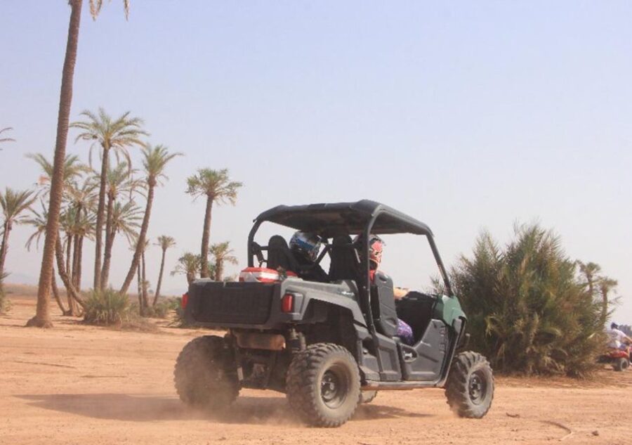 Marrakech: Buggy Experience at Palmeraie With Hotel Pickup | Power ...