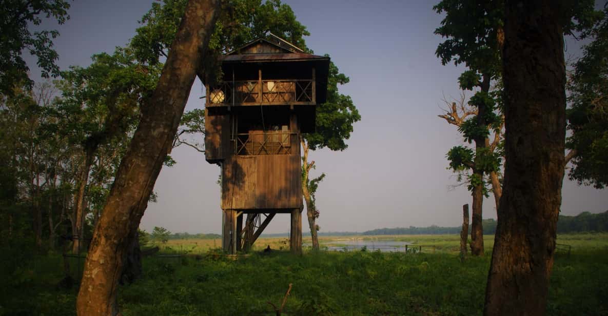 Nepal: Chitwan National Park 3-Day Jungle Tower Stay Nepal: Chitwan National Park 3-Day Jungle Tower Stay