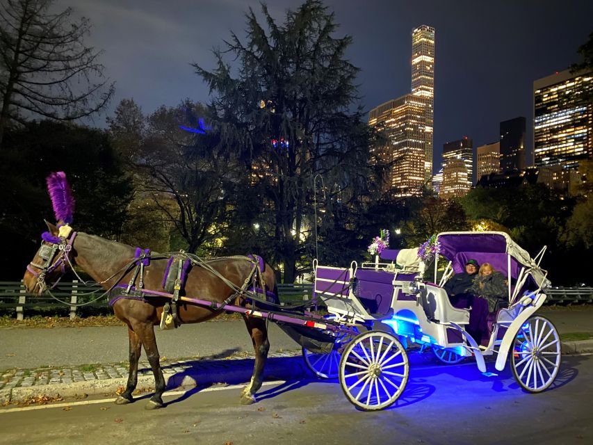 NYC: Guided Central Park Horse Carriage Ride | Power Traveller