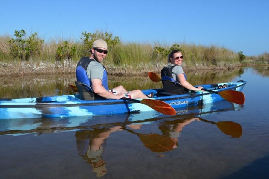 Ochopee: Half-Day Mangrove Tunnel Kayak Tour | Power Traveller