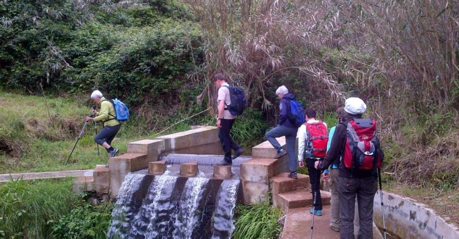 Pleasures: Full-Day Nature Walk | Power Traveller