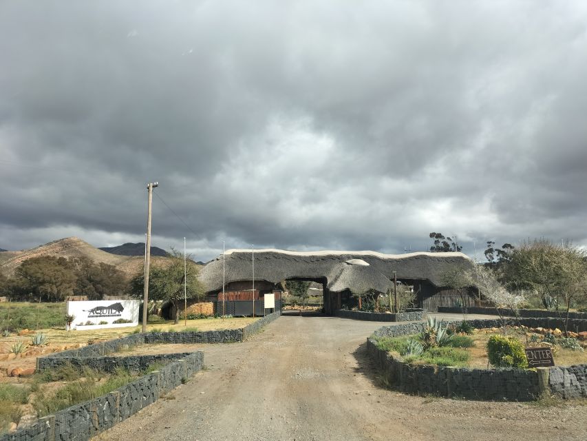 Private Tour: Big 5 Safari, Experience the Wild Animals | Power Traveller