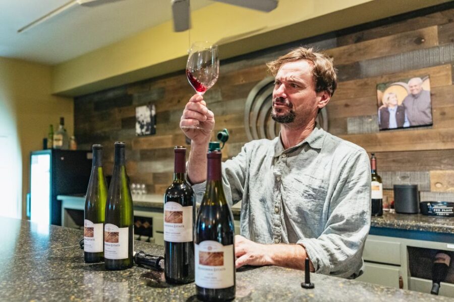 San Francisco: Half-Day Wine Country Excursion With Tastings | Power ...