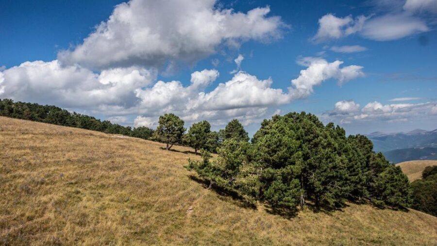 Sightseeing of Subasio Mount | Power Traveller