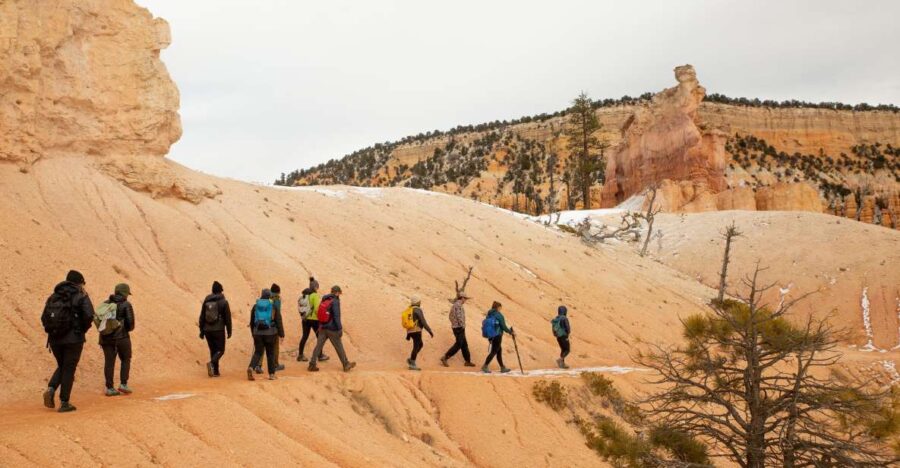 Small-Group Bryce Canyon Day Tour & Hike | Power Traveller