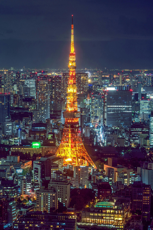 Tokyo Japan 1 Day Private Tour With English Driver | Power Traveller