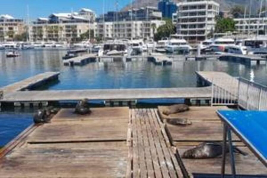 Victoria and Alfred Waterfront Walking Tour | Power Traveller