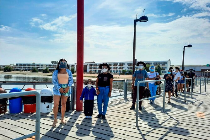 Visit To Paracas, Ballestas Islands And Huacachina