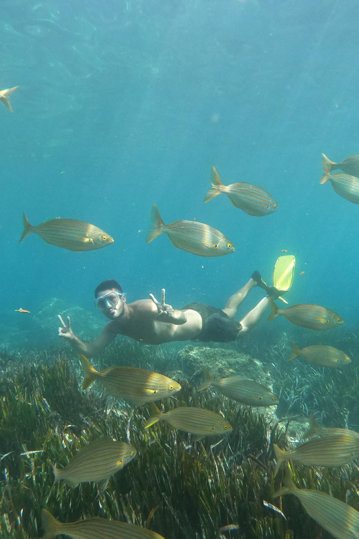 Wild Coast Discovery | Power Traveller