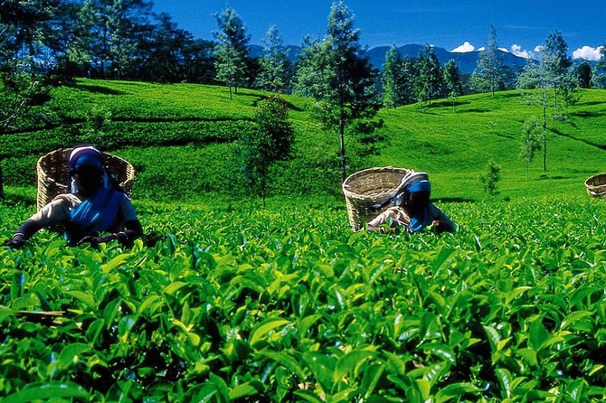 07 Days Amazing Experience | Power Traveller