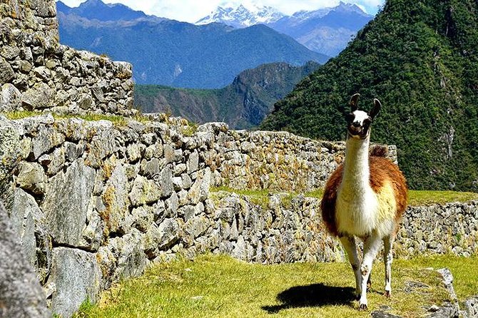 4-Day Inca Quarry Trek to Machu Picchu | Power Traveller