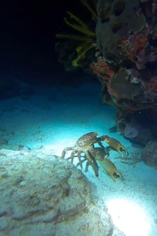 Cancun: Night Dive | Power Traveller
