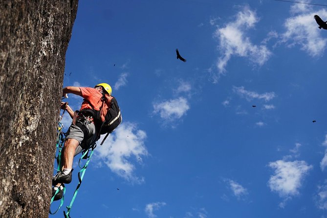 Climb Rio De Janeiro: Rock Climbing Tailored for All Levels | Power ...