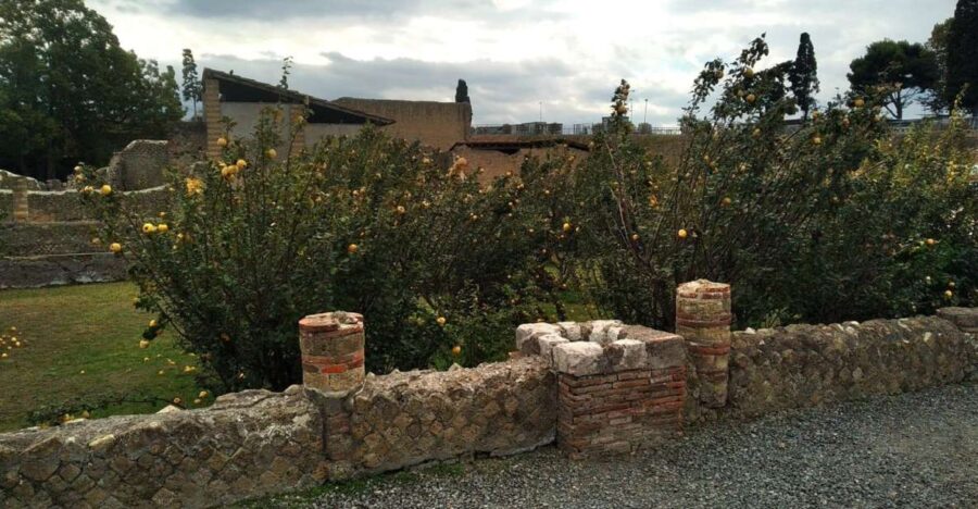 From Naples With 2hr Stop at Herculaneum Site and Back | Power Traveller