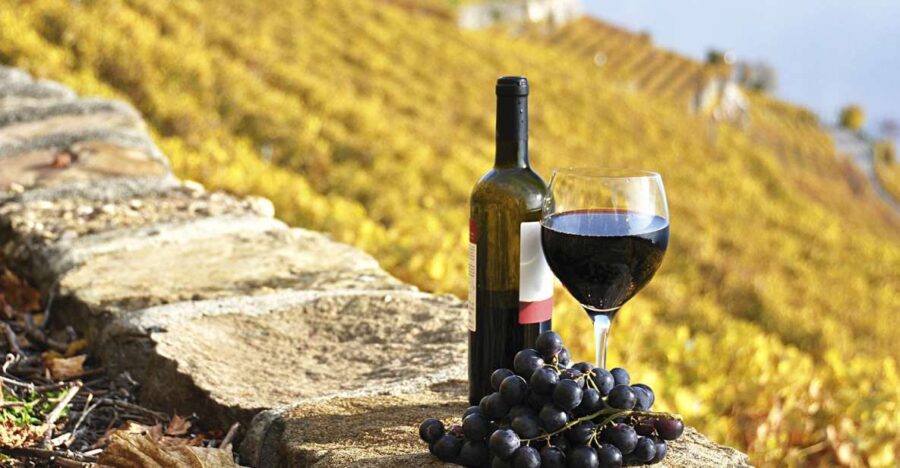 Half-Day Tour From Florence: Chianti Colors & Flavors | Power Traveller