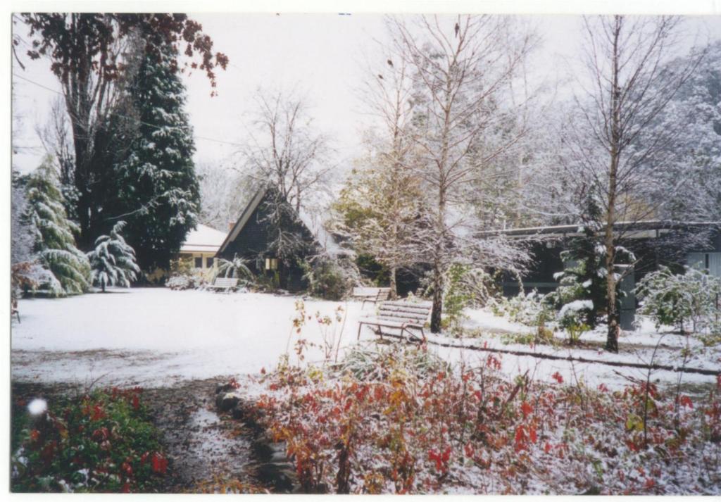Mountain View Holiday Retreat Review | Power Traveller
