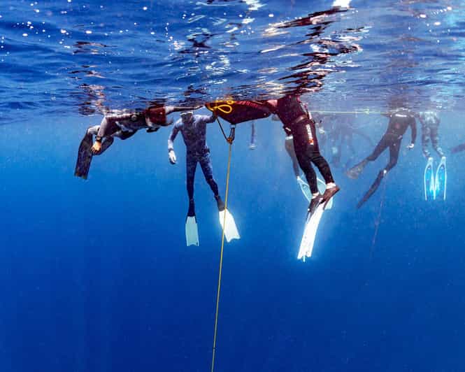 Panglao Bohol: One-Day Introduction to Freediving | Power Traveller