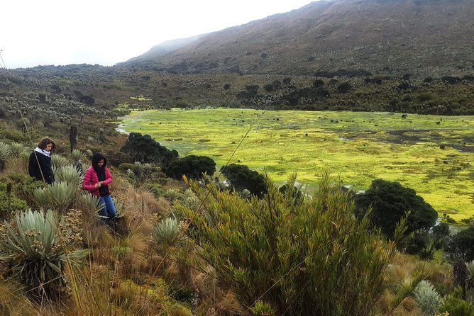 The Biggest Paramo on Earth: Sumapaz | Power Traveller