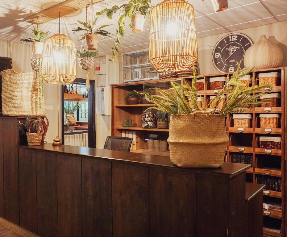 Forest Hotel Review