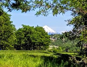 Resort at Eagle Point Golf Club Lodging Review | Power Traveller