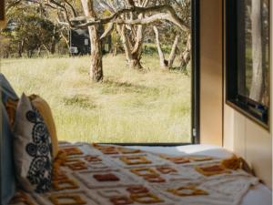 CABN Clare Valley Review