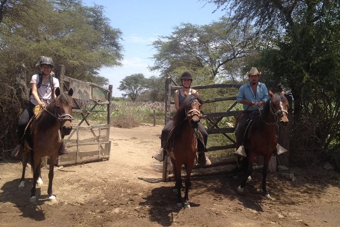 4-Hours Horse Riding, Inca Pyramids in Worlds Largest Dry Forest ...