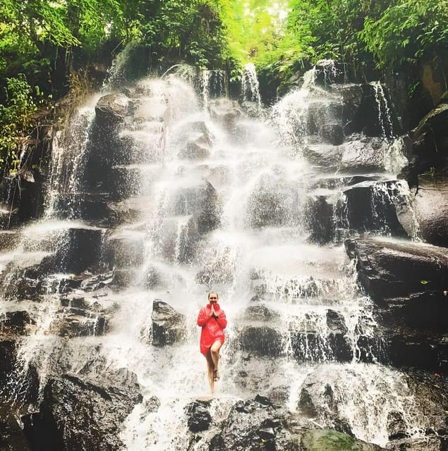 Bali : Waterfall, Monkey Forest, Rice Terrace & Water Temple | Power ...