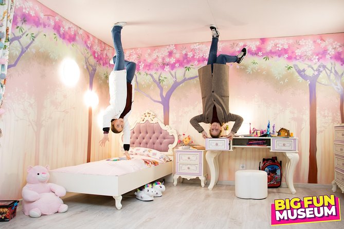 Big Fun Museum Ticket | Power Traveller