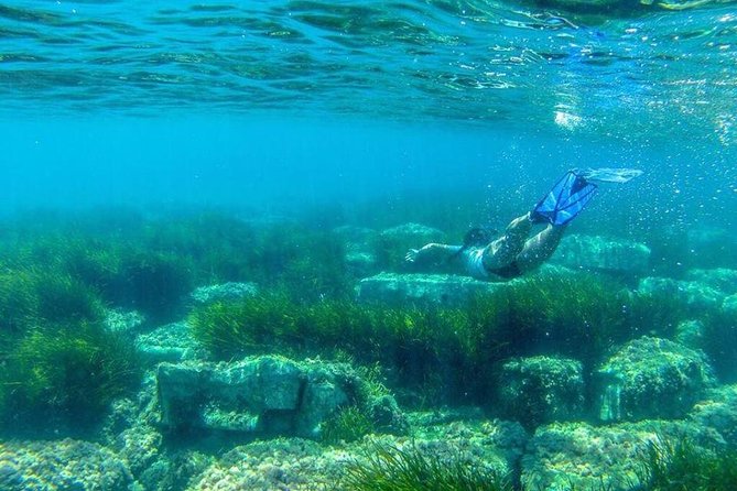 Classic Boat Tour of Naples Bay | Power Traveller