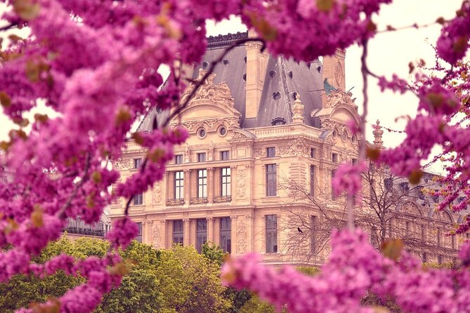 Exclusive Walking Tour of Central Paris With Local Guide | Power Traveller